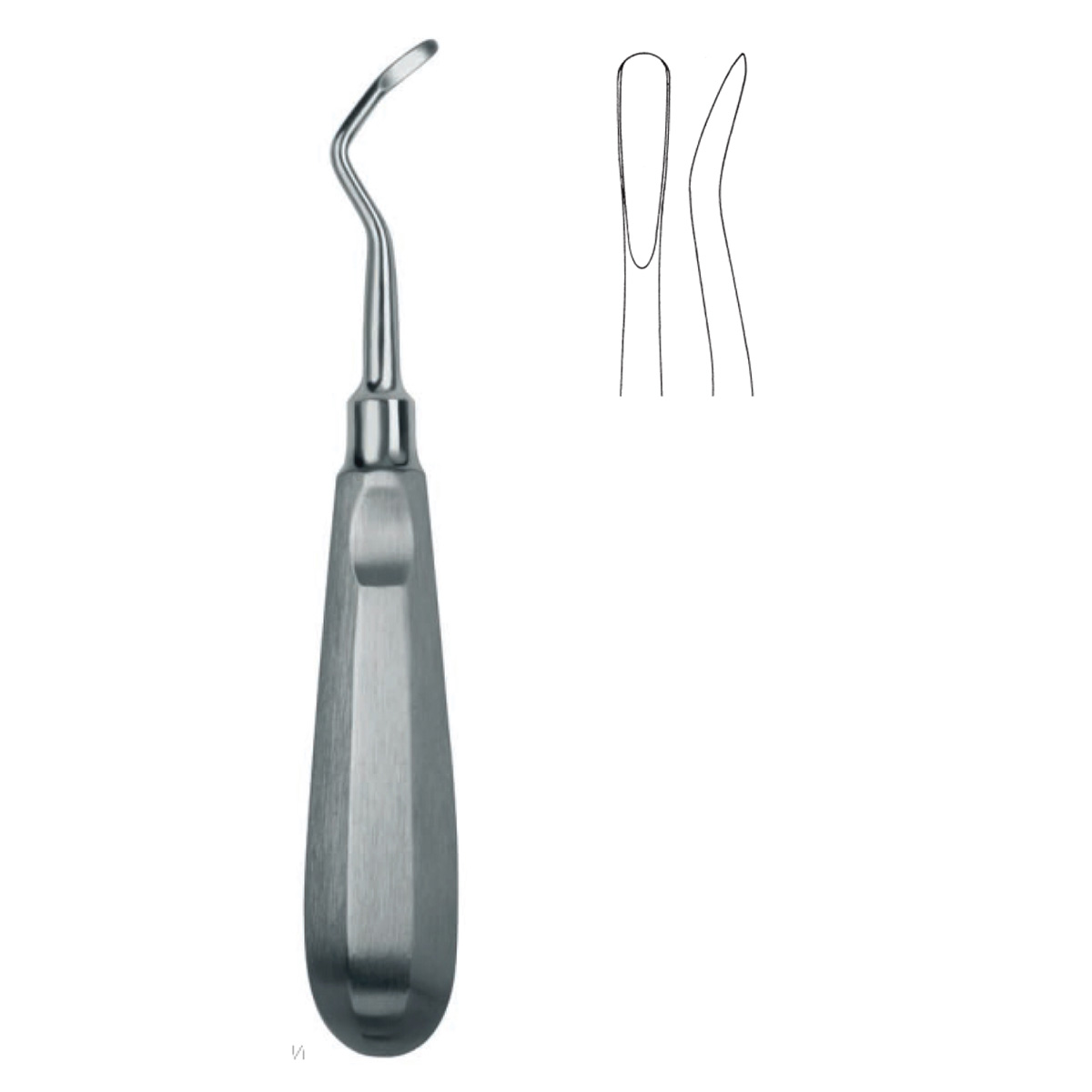 Dental Elevators , Cameron - Darleys Surgical