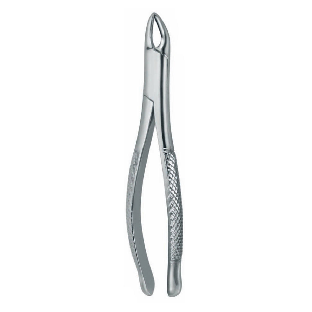 Extracting Forceps , Exodontia Forceps Legend, upper universal ...