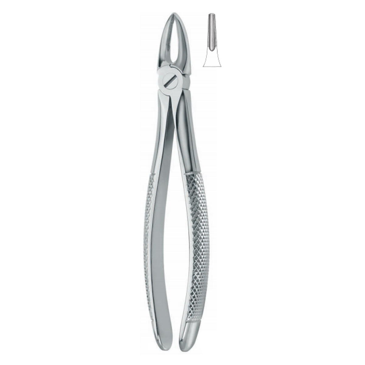 Extracting Forceps , upper incisors and roots - Darleys Surgical