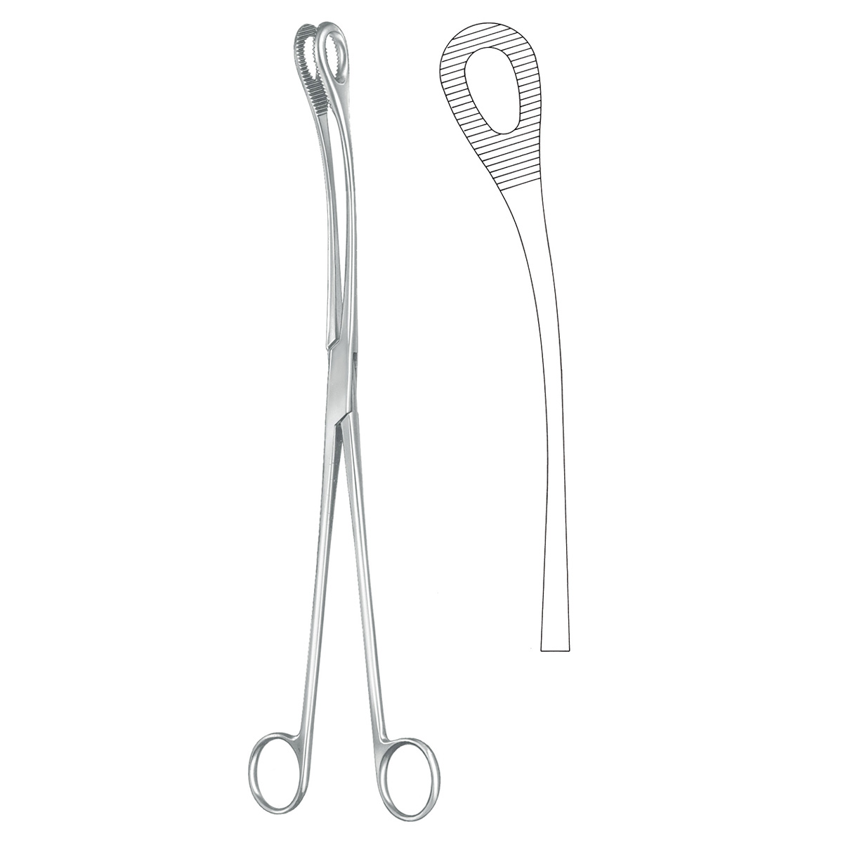 Gynecology , Uterine polypus forceps, acc. to Kelly - Darleys Surgical