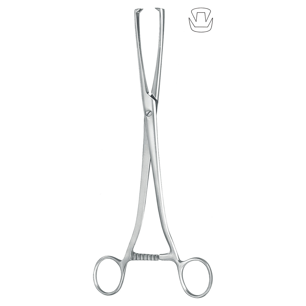 Gynecology , Uterine tenaculum forceps, acc. to Museux, 10mm, 2 x 2 ...