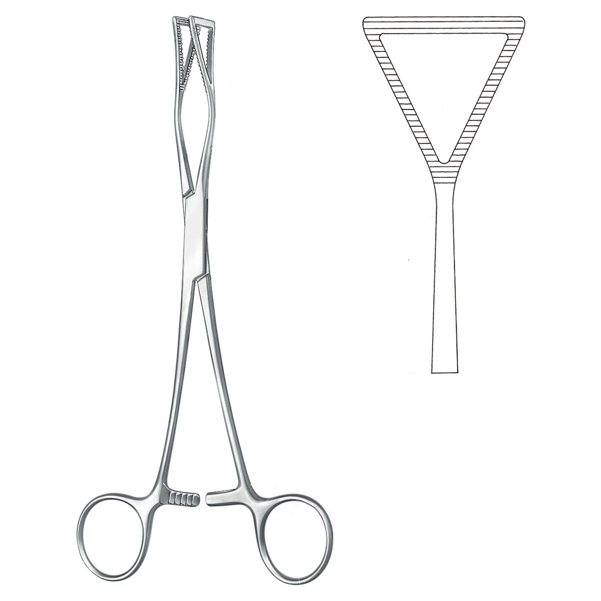 Neurosurgery , Lung grasping forceps, acc. to Lovelace, straight ...