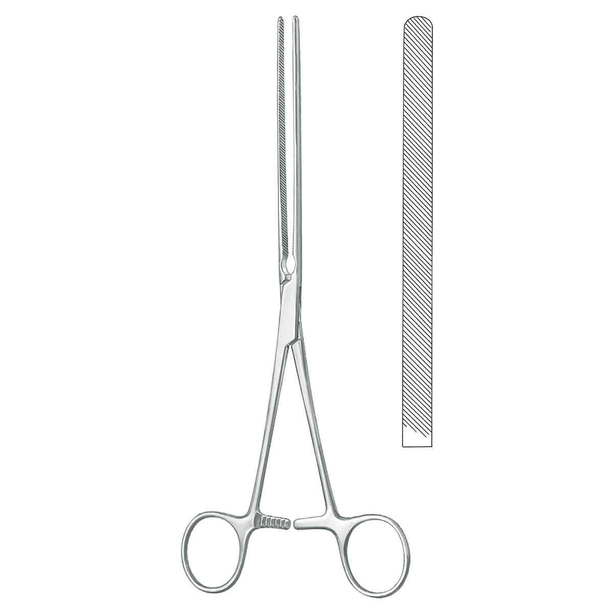 Stomach, intestines, rectum , Intestinal clamps, acc. to Doyen ...