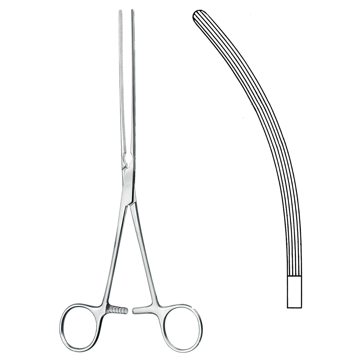 Stomach, intestines, rectum , Intestinal clamps, acc. to Mayo-Robson ...