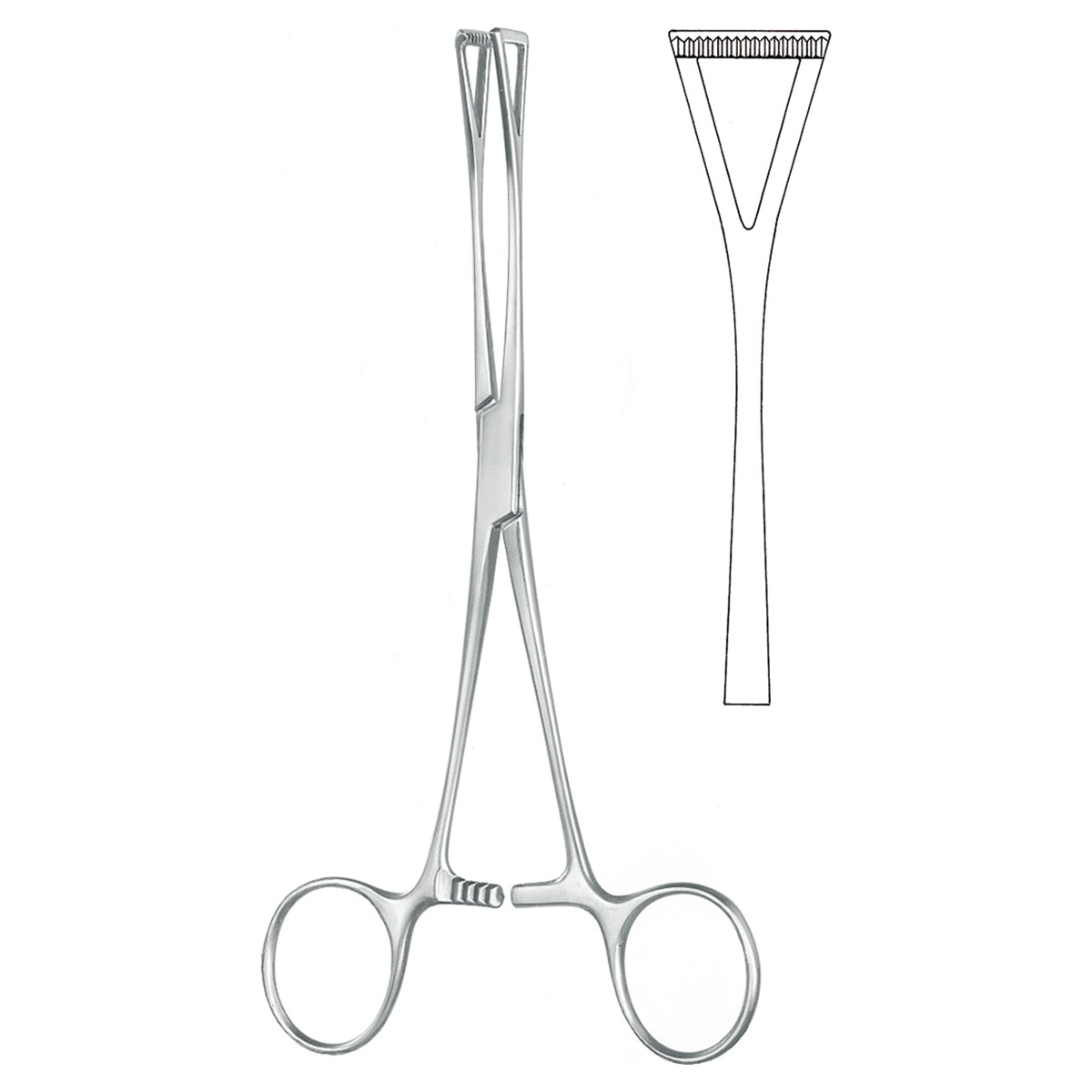 Stomach, intestines, rectum , Intestinal grasping forceps, acc. to ...