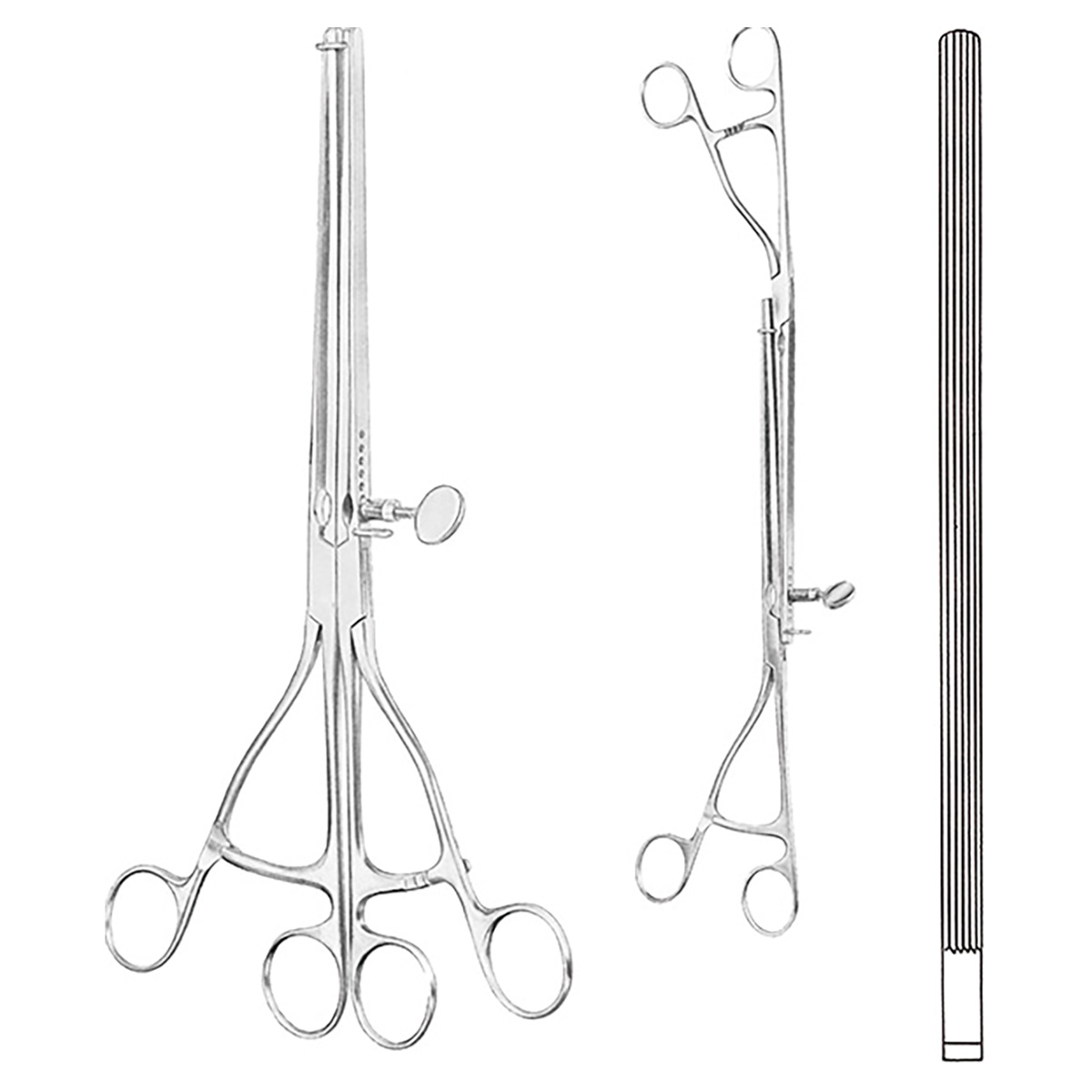 Stomach, intestines, rectum , StomaCh and intestinal anastomosis twin ...