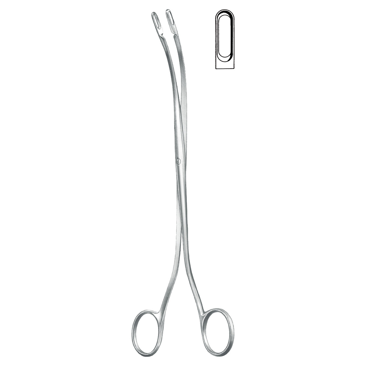Urology , Gallstone forceps, acc. to Desjardins, no. 2 - Darleys Surgical