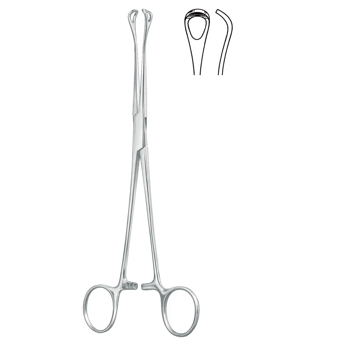 Urology , Gallstone forceps, acc. to Mayo-Blake, straight - Darleys ...