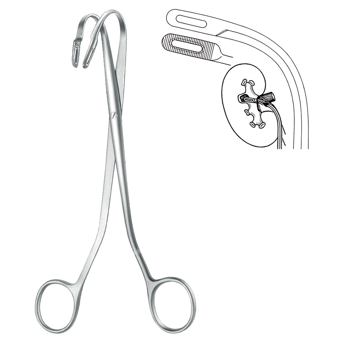 Urology , Kidney stone forceps, acc. to Randall, no. 2 - Darleys Surgical